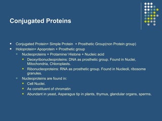 Protein Chemistry Bsc Nursing & Bpt | PPT
