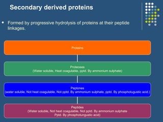 Protein Chemistry Bsc Nursing & Bpt | PPT