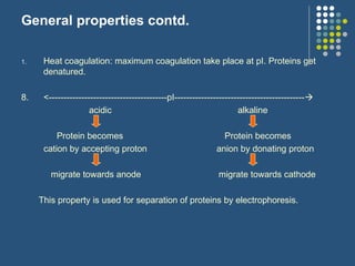 Protein Chemistry Bsc Nursing & Bpt | PPT
