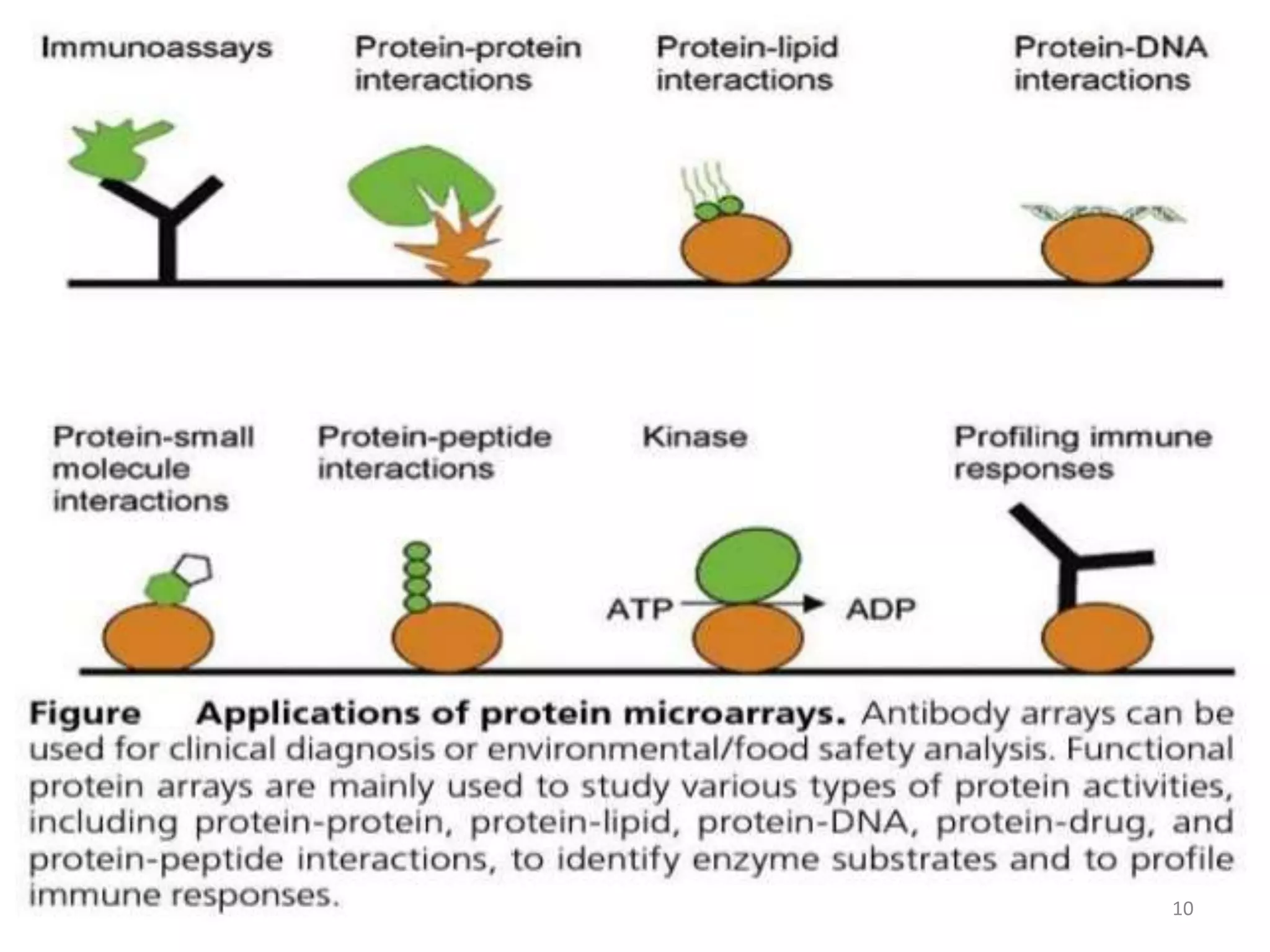 Protein array, types and application | PPTX