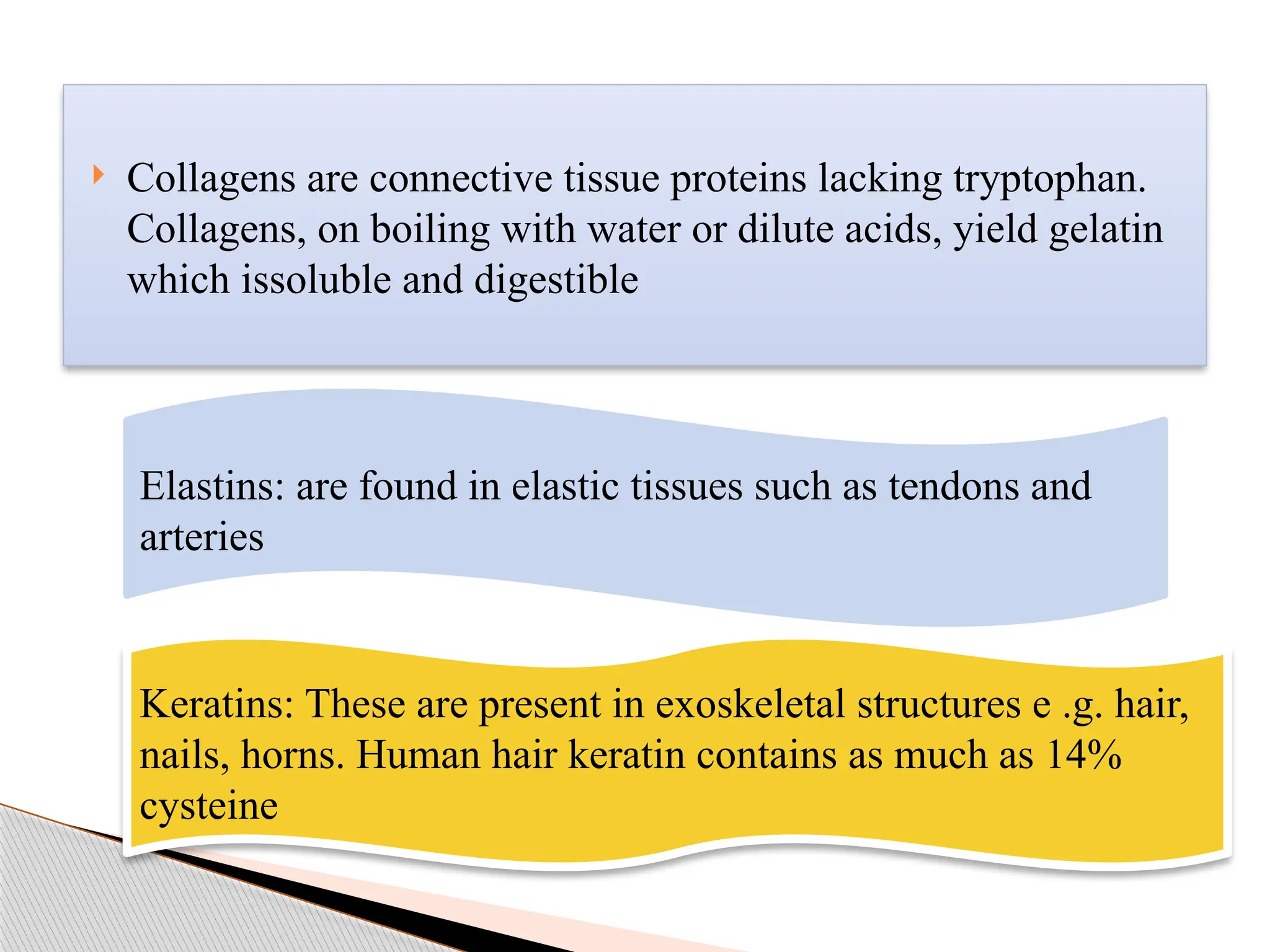 protein classes.pptx.....protein structure | PPT