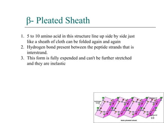 Protein classification | PPT