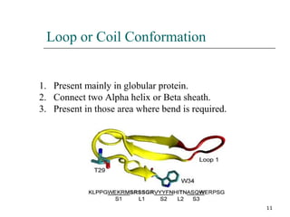 Protein classification | PPT