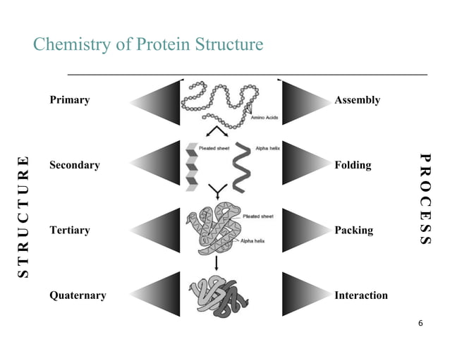 Protein classification | PPT