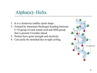 Protein classification | PPT