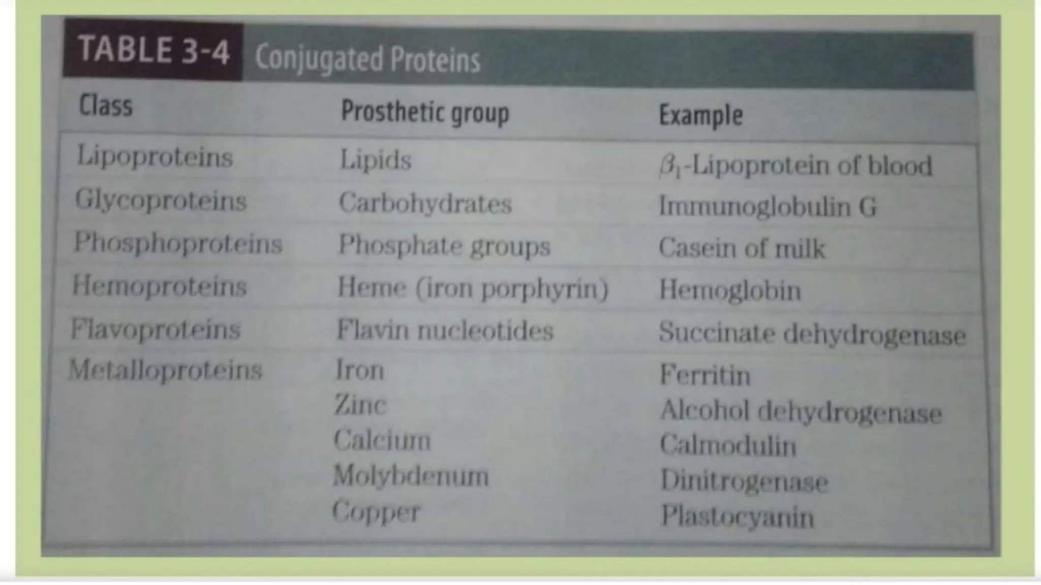 PROTEIN CLASSIFICATION.pptx