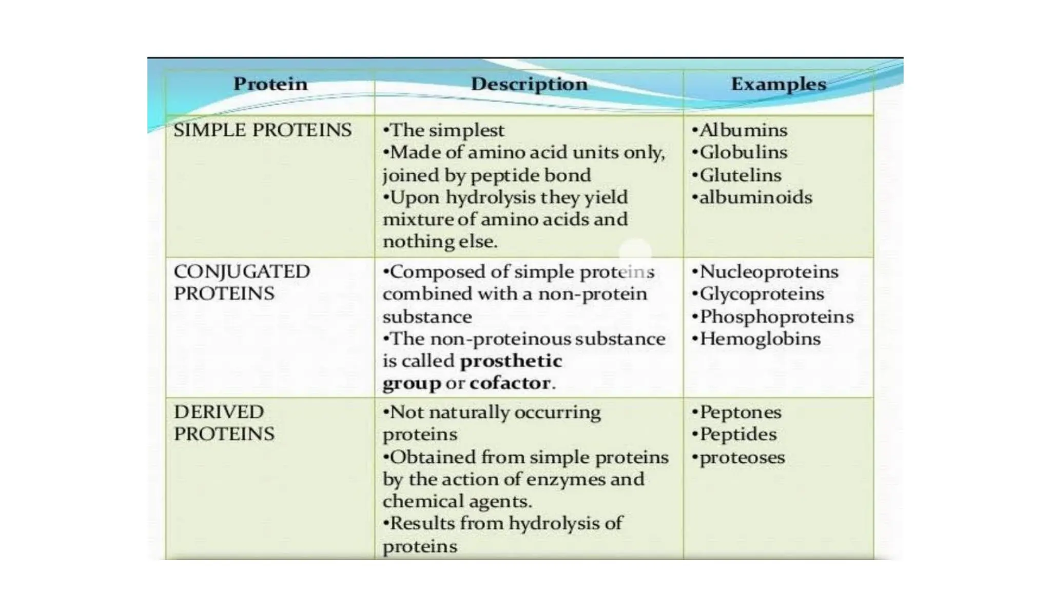 protein classification and structure.pptx | Chemistry | Science