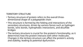 protein classification and structure.pptx