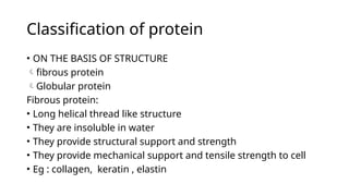 protein classification and structure.pptx