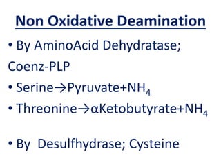 PROTEIN CLASS PPT-1.pptx