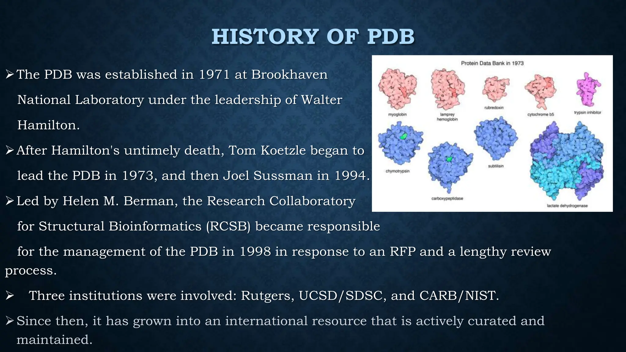 Protein Data Bank ( PDB ) - Bioinformatics | PPTX