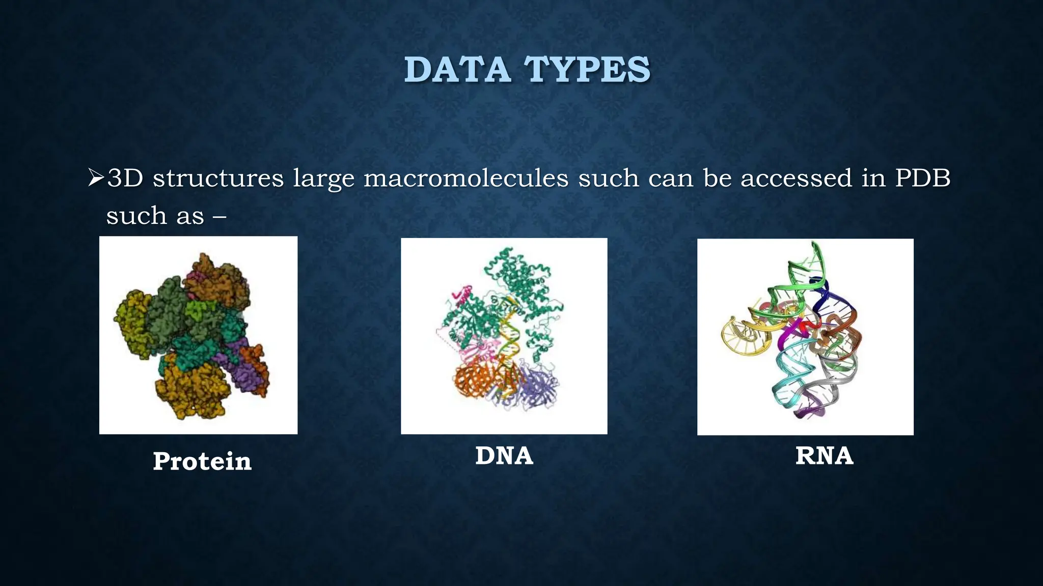 Protein Data Bank ( PDB ) - Bioinformatics | PPTX