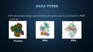 Protein Data Bank ( PDB ) - Bioinformatics | PPTX