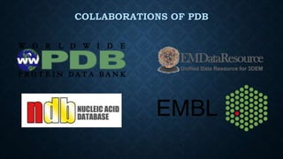 Protein Data Bank ( PDB ) - Bioinformatics | PPTX