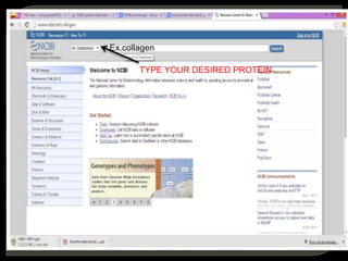 Protein database ..... of NCBI | PPTX | Databases | Computer Software ...