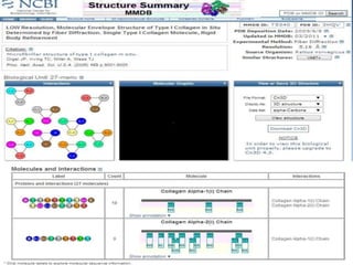 Protein database ..... of NCBI | PPTX | Databases | Computer Software and Applications