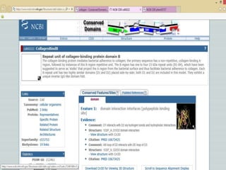 Protein database ..... of NCBI | PPTX | Databases | Computer Software and Applications