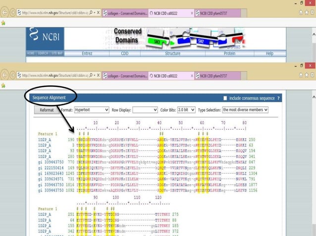 Protein database ..... of NCBI | PPTX | Databases | Computer Software and Applications