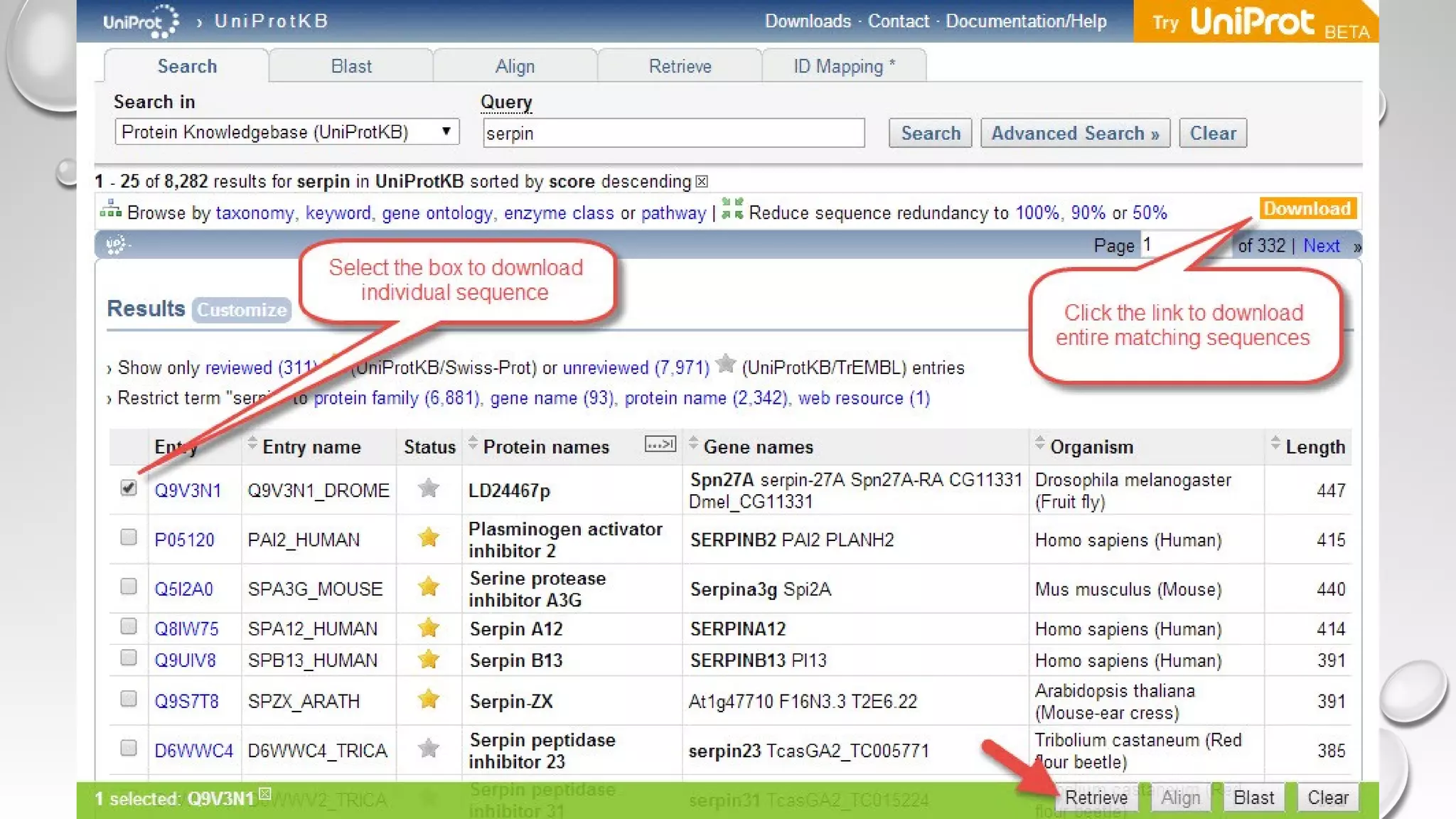 Protein Database | PPS