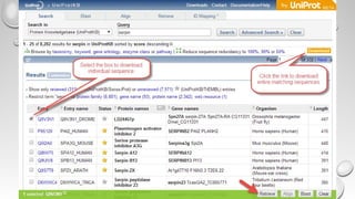 Protein Database | PPS