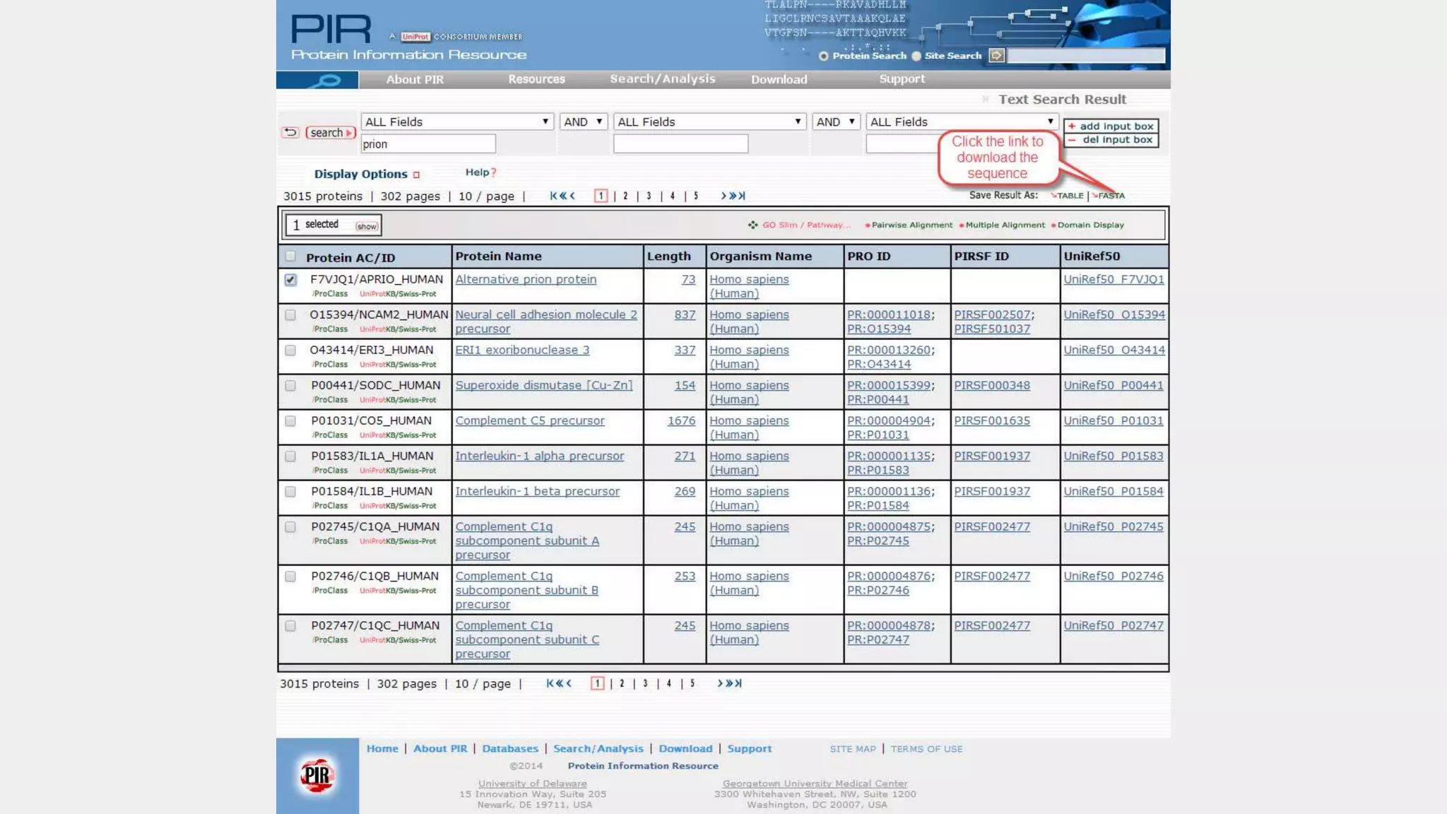 Protein Databases | PPSX