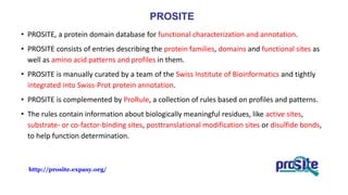 Protein Databases | PPSX
