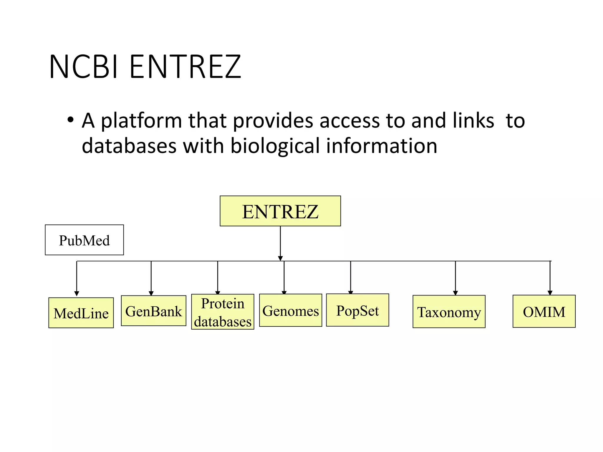protein databases.ppt