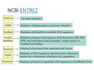 protein databases.ppt