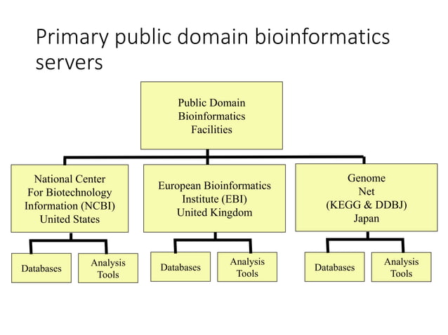 protein databases.ppt