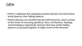 Protein databases in Bioinformatics.pptx