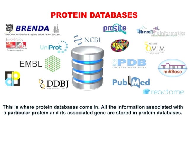 Protein Databases | PPTX