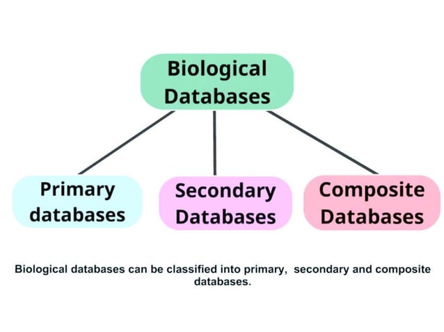 Protein Databases | PPTX