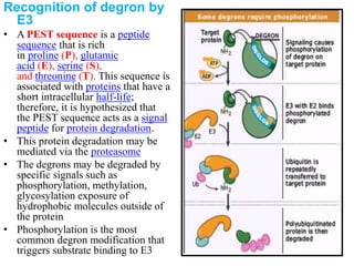 Protein degradation(molecular biology) | PPTX