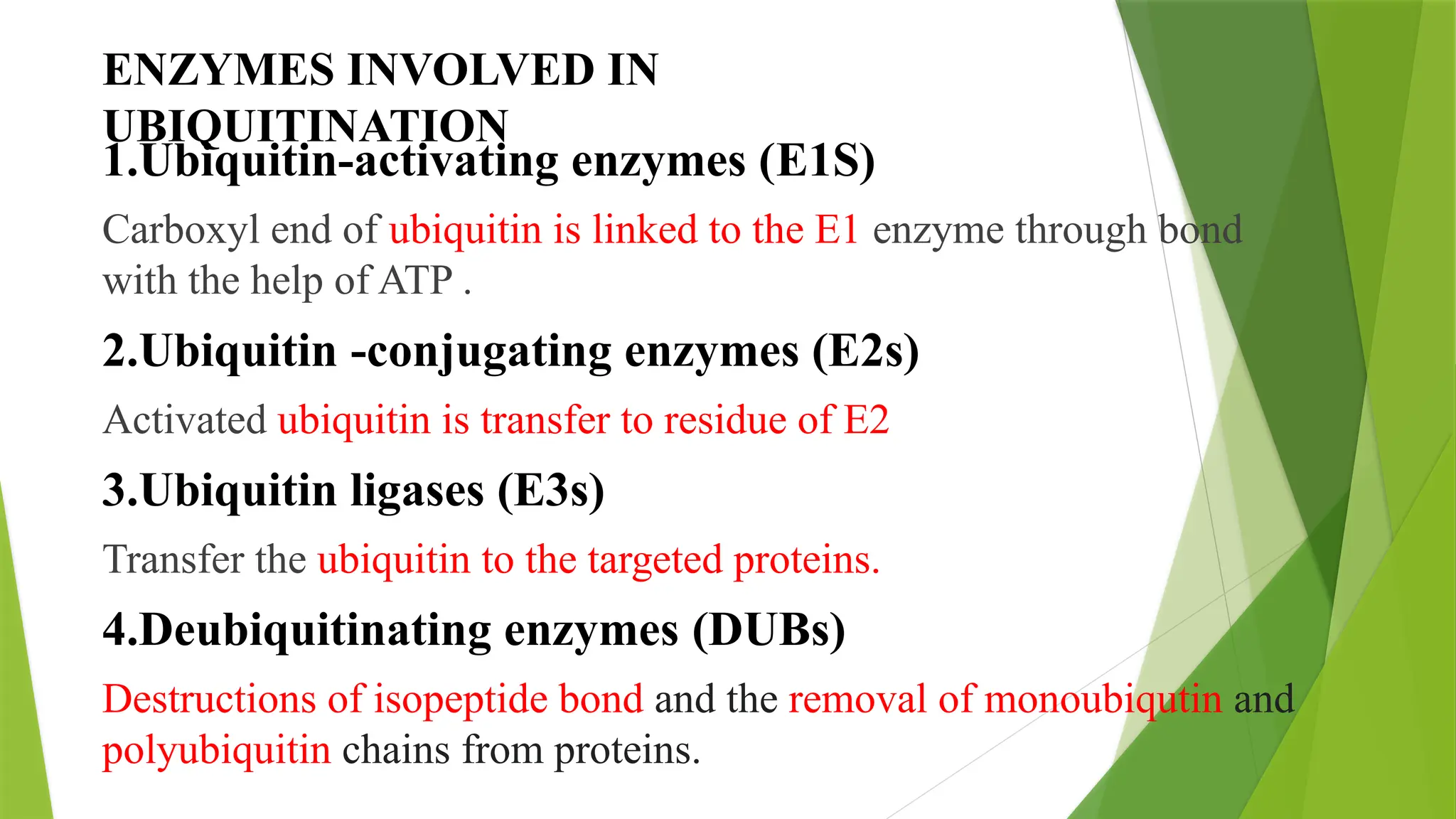 PROTEIN DEGRADATION- ubiquitin pathway and it's mechanism | PPTX