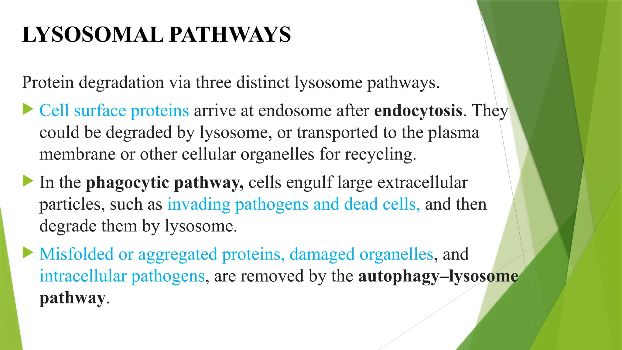 PROTEIN DEGRADATION- ubiquitin pathway and it's mechanism | PPTX