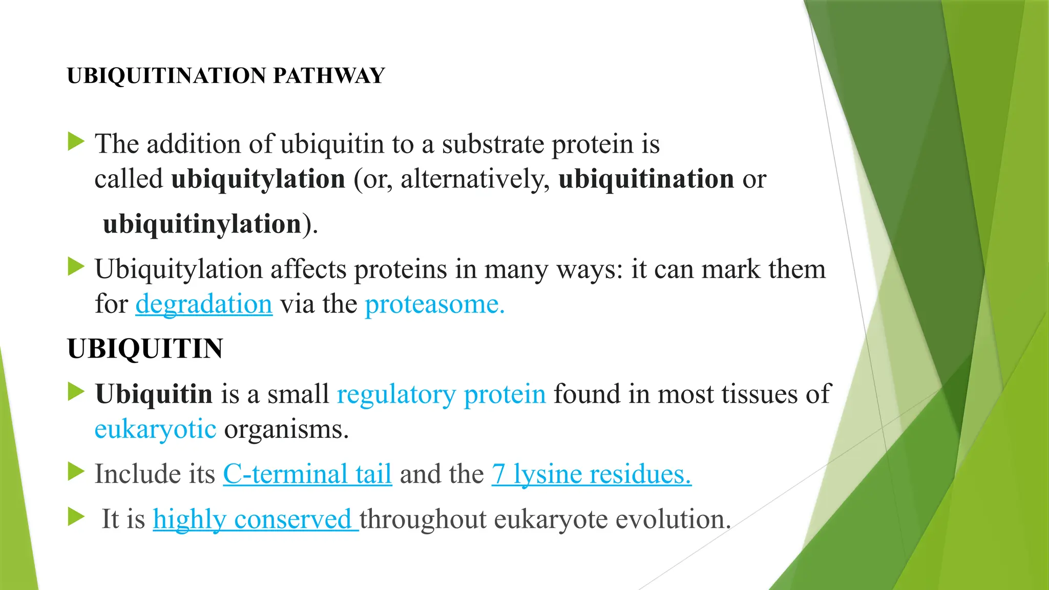 PROTEIN DEGRADATION- ubiquitin pathway and it's mechanism | PPTX