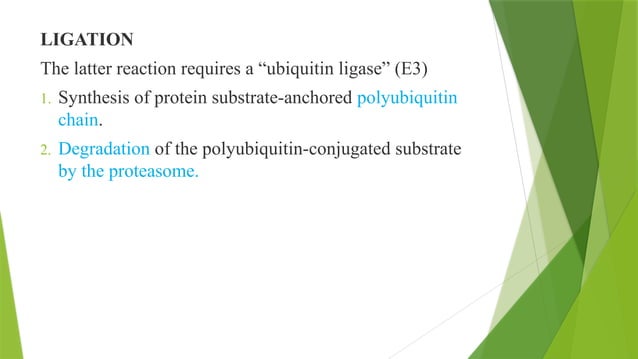 PROTEIN DEGRADATION- ubiquitin pathway and it's mechanism | PPTX