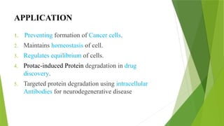 PROTEIN DEGRADATION- ubiquitin pathway and it's mechanism | PPTX