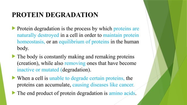 PROTEIN DEGRADATION- ubiquitin pathway and it's mechanism | PPTX