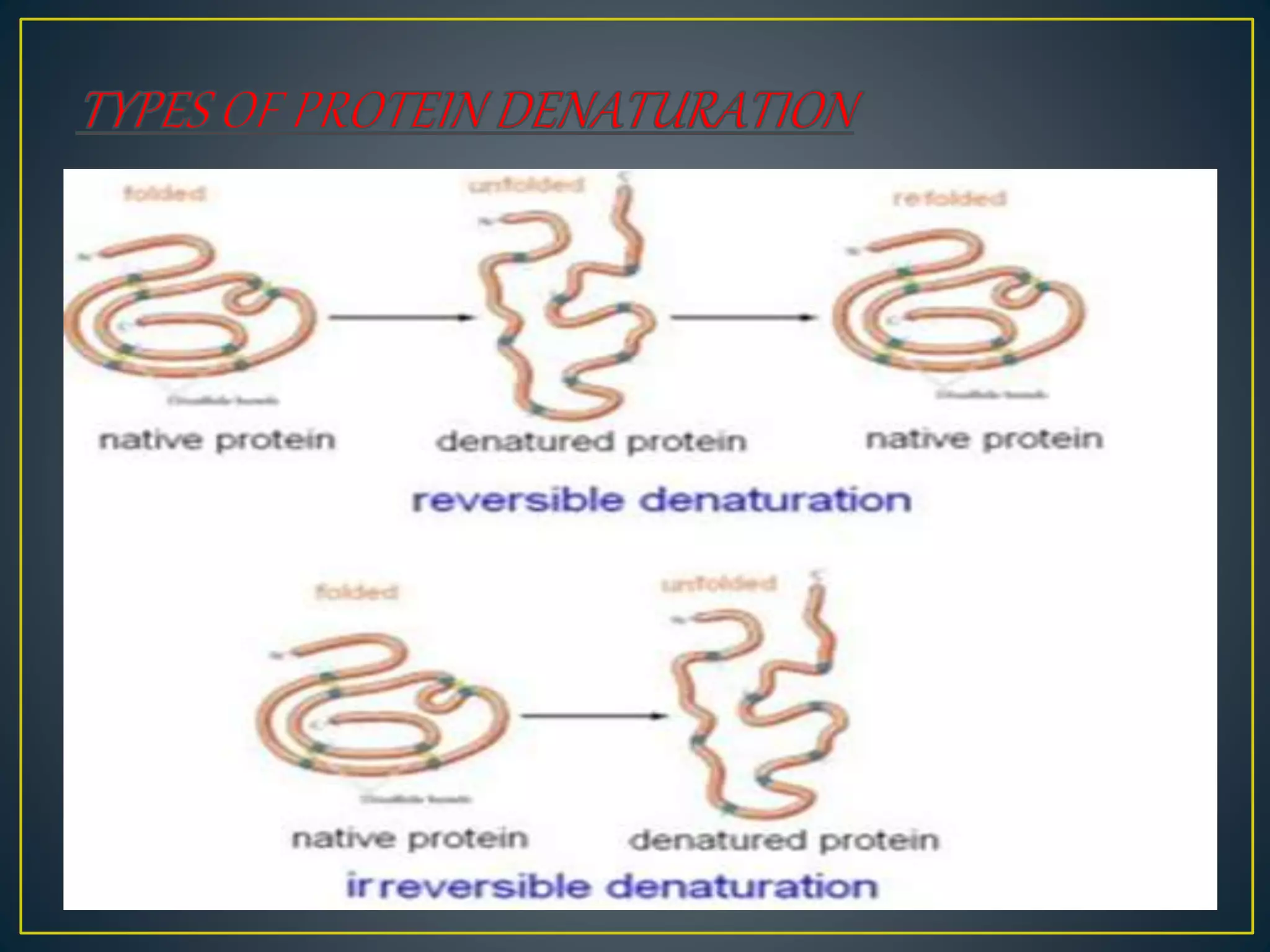 Protein denaturation | PPTX