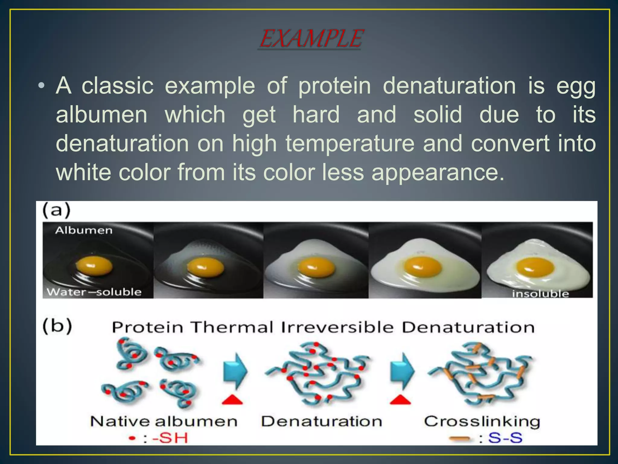 Protein denaturation | PPTX