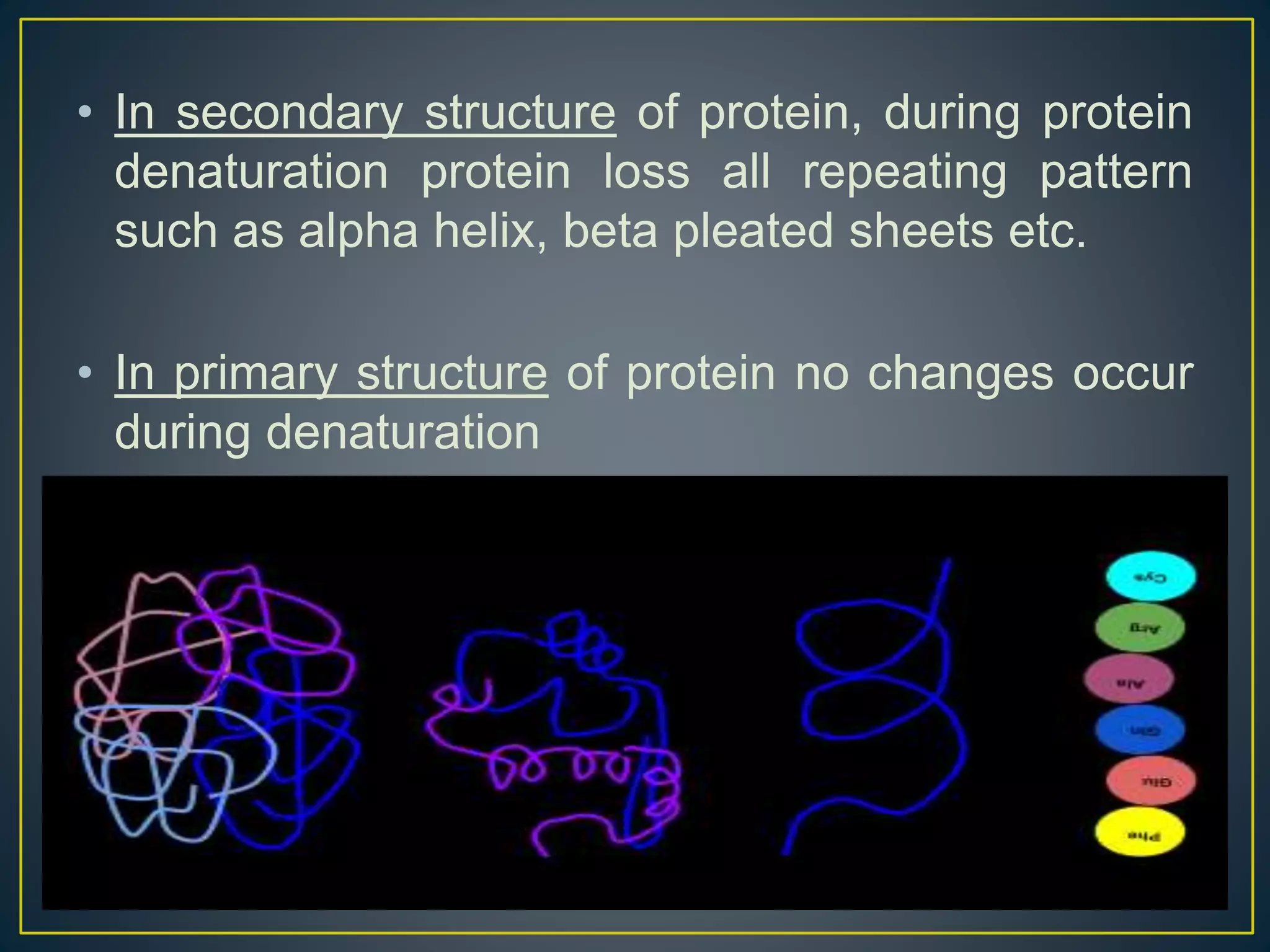Protein denaturation | PPTX