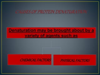 Protein denaturation | PPTX