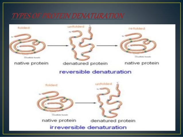 Protein denaturation