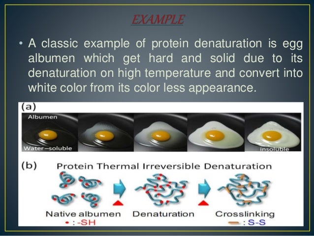Protein denaturation