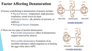 Protein Denaturation | PPT