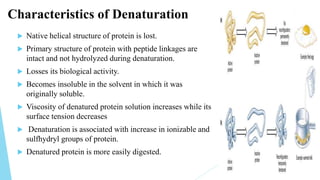Protein Denaturation | PPT