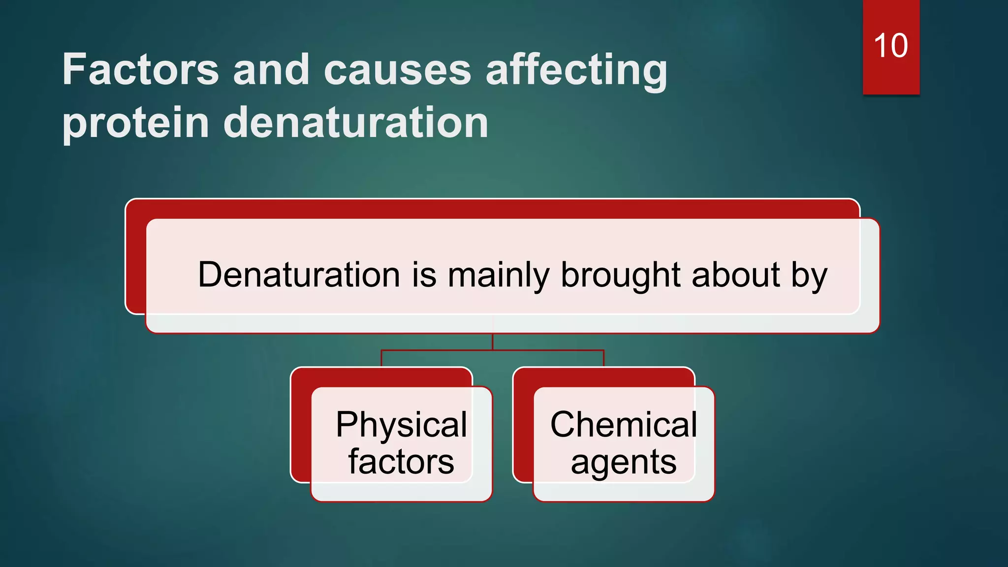 Protein Denaturation & Protein Purification | PPTX