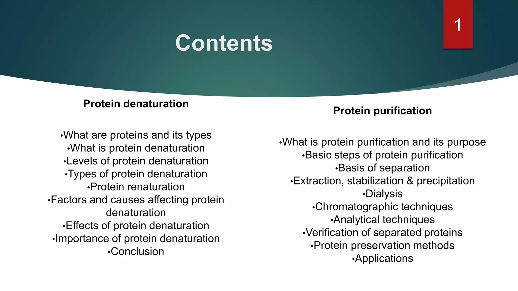 Protein Denaturation & Protein Purification | PPTX