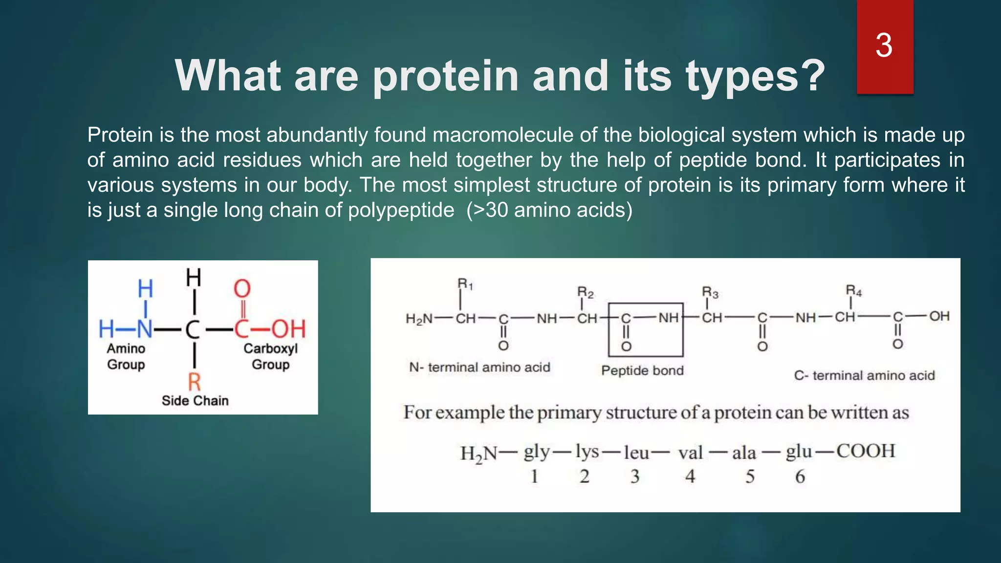 Protein Denaturation & Protein Purification | PPTX